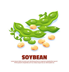 Soy free logo Royalty Free Vector Image - VectorStock