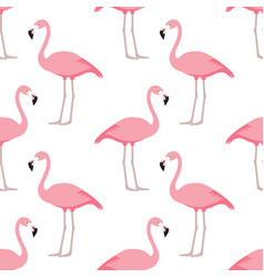 Flamingo seamless pattern Royalty Free Vector Image