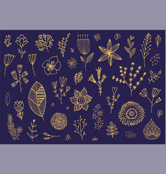 Set of doodle hand drawn flowers florals Vector Image