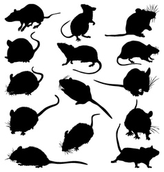 A mouse Royalty Free Vector Image - VectorStock
