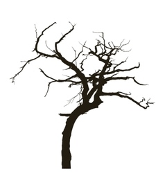 Curved Tree Vector Images (over 11,000)
