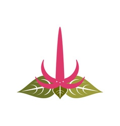 Amaranth Vector Images (over 520)