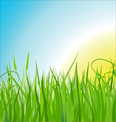 Blue sky with fresh spring grass background Vector Image