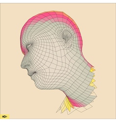 Head 3d grid geometric face design Royalty Free Vector Image
