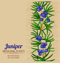 Juniper branches frame on color background Vector Image