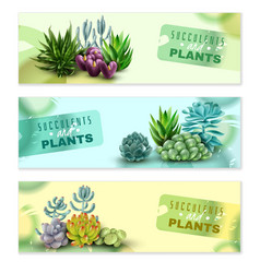 Succulents mini banners cards set Royalty Free Vector Image