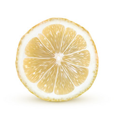 Realistic lemon isolated on white background Vector Image