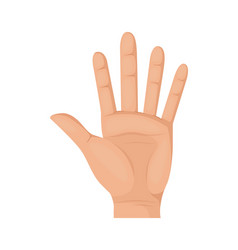 Cartoon hand showing five fingers Royalty Free Vector Image
