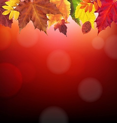 Autumn border with leaves Royalty Free Vector Image