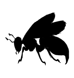 Wasp Vector Images (over 7,000)