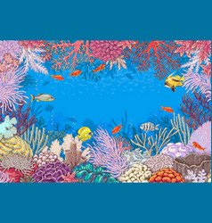 A border underwater Royalty Free Vector Image - VectorStock