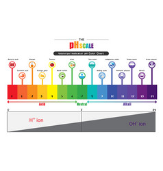 Ph scale universal indicator ph color chart Vector Image