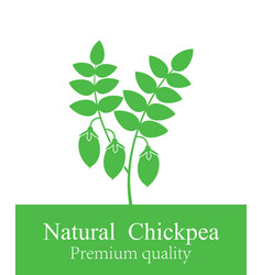 Chickpeas Royalty Free Vector Image - VectorStock
