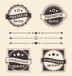 Set of fancy icons frames borders divider lines Vector Image