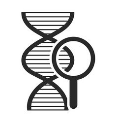 Colorful dna spirals bright Royalty Free Vector Image