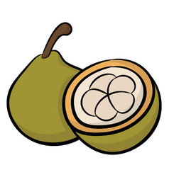 Champoo exotic juicy fruit isolated java Vector Image