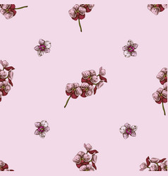 Orchid summer tropical flower Royalty Free Vector Image