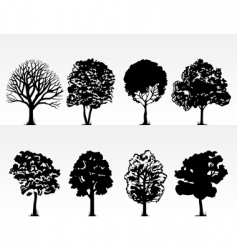 Wood tree Royalty Free Vector Image - VectorStock