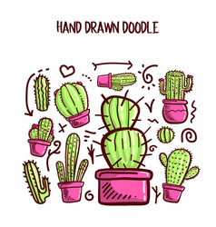 Cactus and succulent set Royalty Free Vector Image