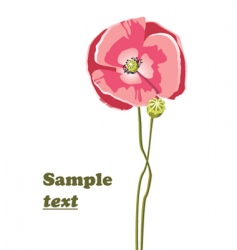 Floral graphic elements Royalty Free Vector Image