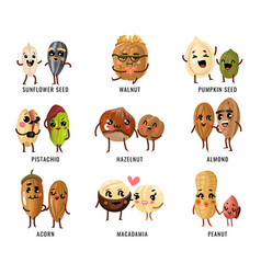 Cute cartoon hazelnut character Royalty Free Vector Image