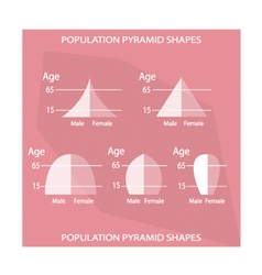 The Four Stage of Population Pyramids Charts Vector Image
