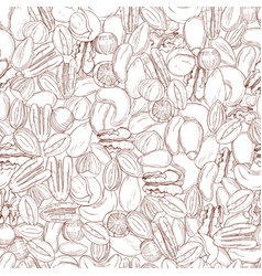 Hand drawn cashew nuts pattern Royalty Free Vector Image