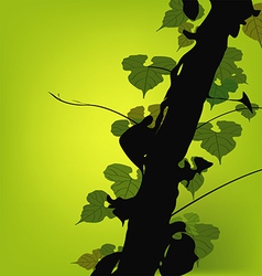 Growing Vector Images (over 160,000)