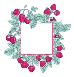 Raspberry frame Royalty Free Vector Image - VectorStock