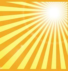 Sunlight sun rays through foliage Royalty Free Vector Image