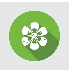 Primula flower icons Spring flowers Floral Vector Image