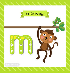 Letter m uppercase tracing monkey Royalty Free Vector Image