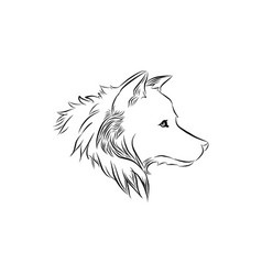 Black line wolf on white background hand drawn Vector Image