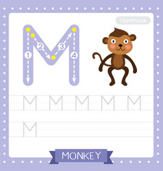 Letter m uppercase tracing practice worksheet of Vector Image