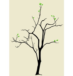 Hope Tree Vector Images (over 1,000)