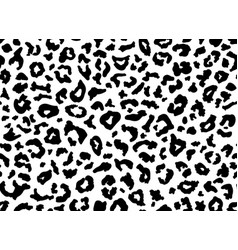 Seamless leopard fur pattern leopard background Vector Image