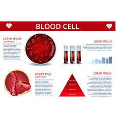 Red Blood Cell Infographic Vector Images (over 360)