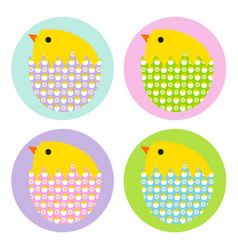 Chicken hatching cracked chick egg hatch eggs Vector Image
