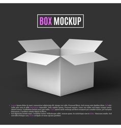 Open box mockup template Royalty Free Vector Image