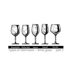 Stemware types Royalty Free Vector Image - VectorStock