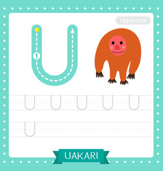 Letter u uppercase tracing practice worksheet Vector Image