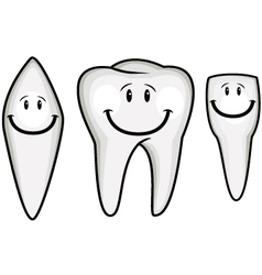 Tooth cartoon Royalty Free Vector Image - VectorStock