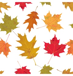 Realistic autumn leaves fall orange wood foliage Vector Image