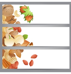 Background with different nuts Royalty Free Vector Image