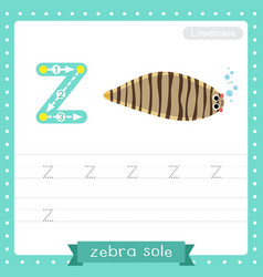 Letter z lowercase tracing practice worksheet Vector Image