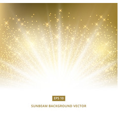 Sunlight isolated golden sun rays radiance Vector Image