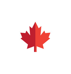 Maple leaf icon graphic design template isolated Vector Image