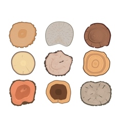 Tree slices set Royalty Free Vector Image - VectorStock