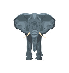 Elephant Head Front Vector Images (over 110)