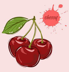Cartoon cherry Royalty Free Vector Image - VectorStock